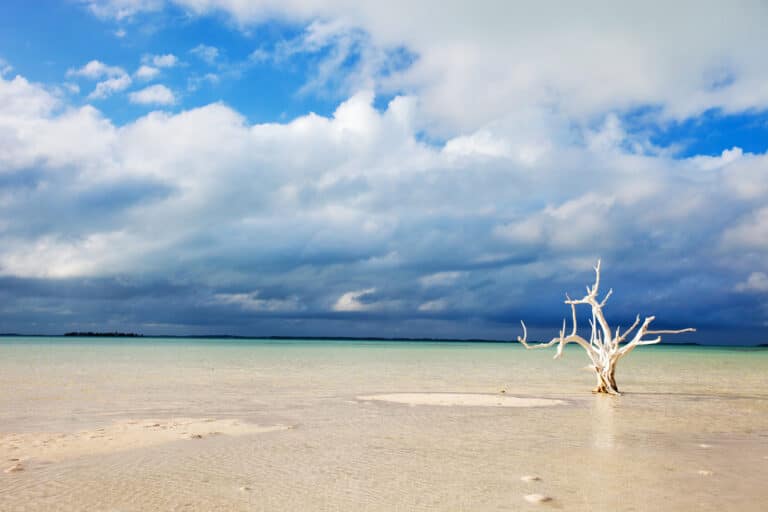 Gay Bahamas – Ultimate Travel Guide, Hotels, Restaurants, Bars ...