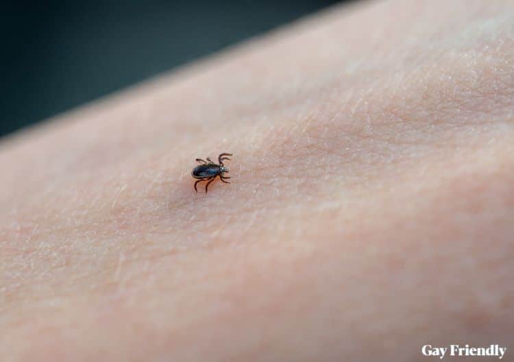 Tips and Tricks What is Skin Crawling (Formication), and How to Stop it ...